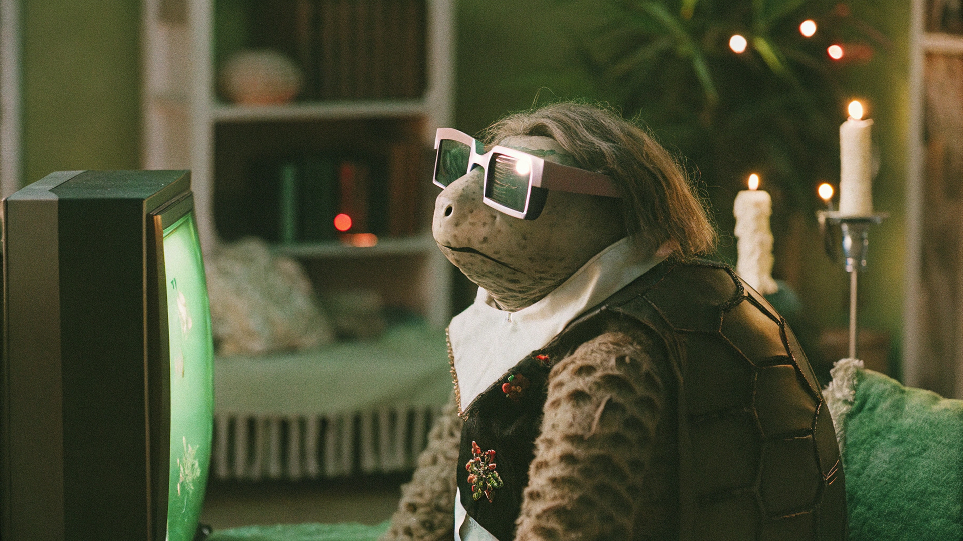 Platform Tour Turtl Revenue Content Platform